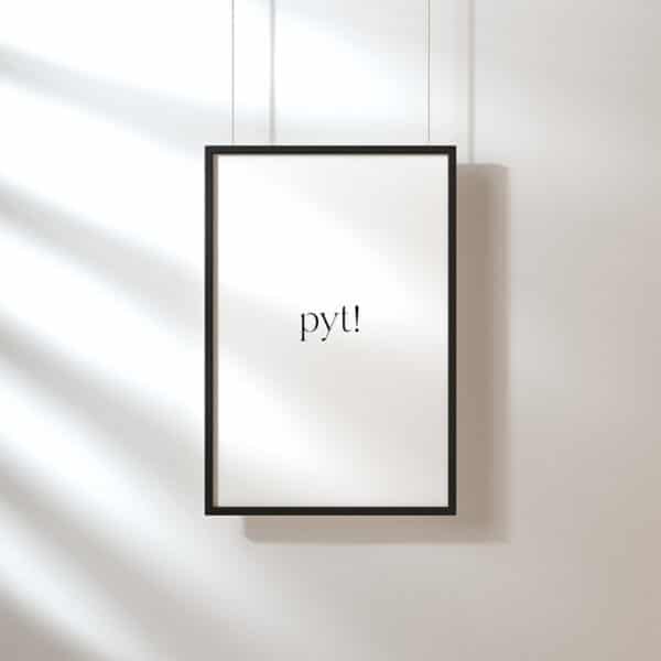 What is the The Pyt Project?